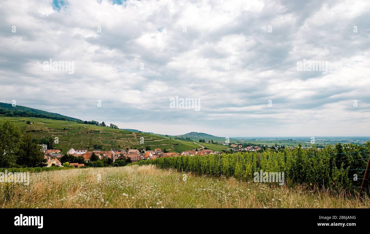 Hills with vineyards in Alsace, France Stock Photo - Alamy