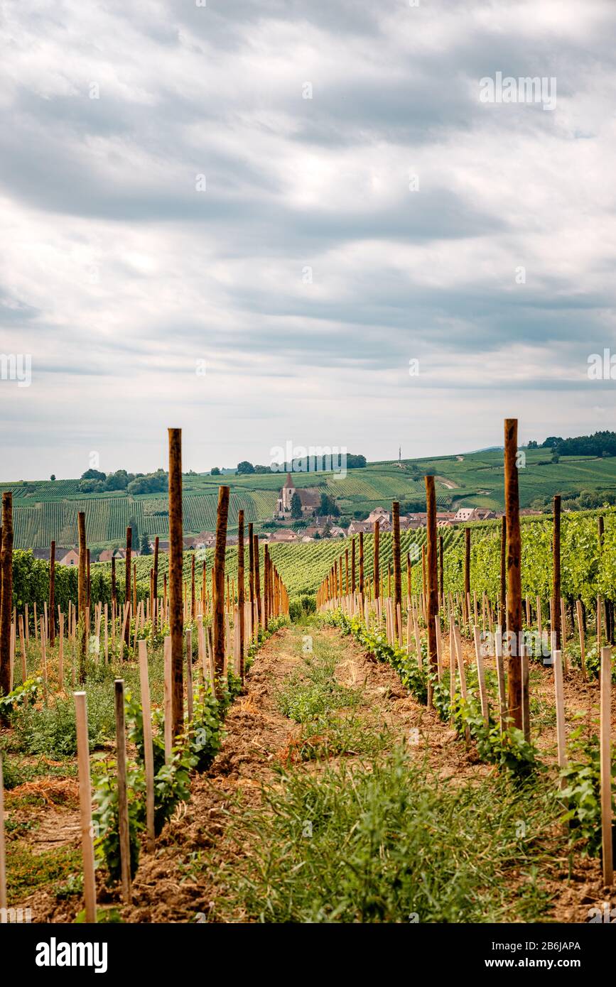 Alsace countryside hi-res stock photography and images - Alamy