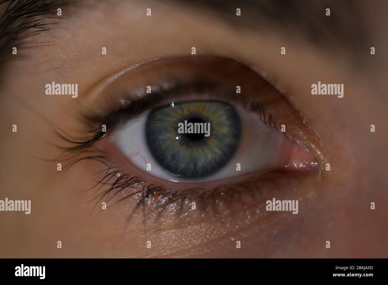 Macro of blue caucasian female eye Stock Photo - Alamy