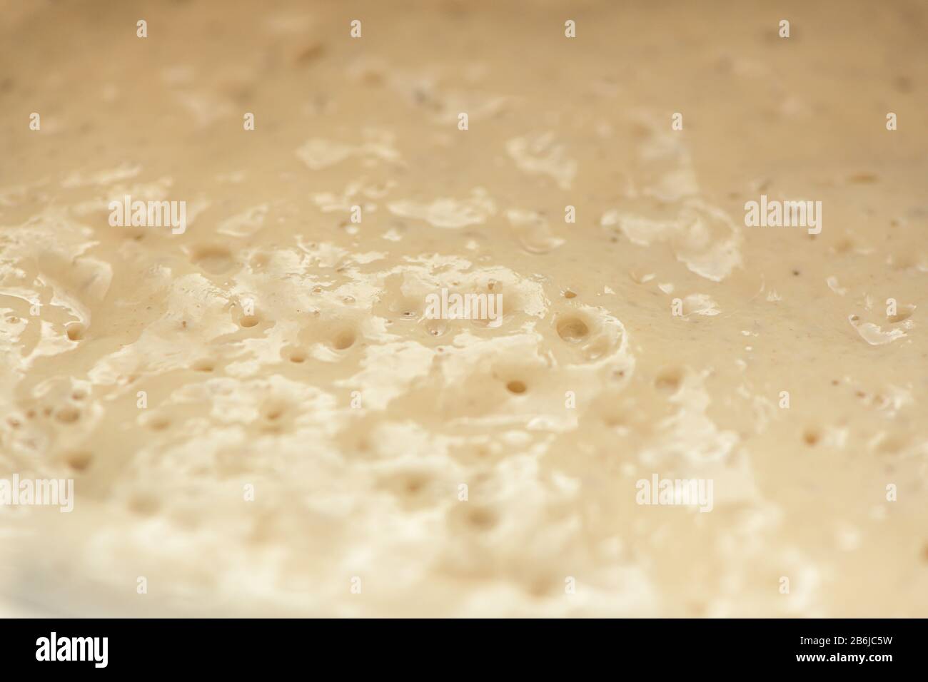 Process of fermentation of homemade spelled bread sourdough Active ...