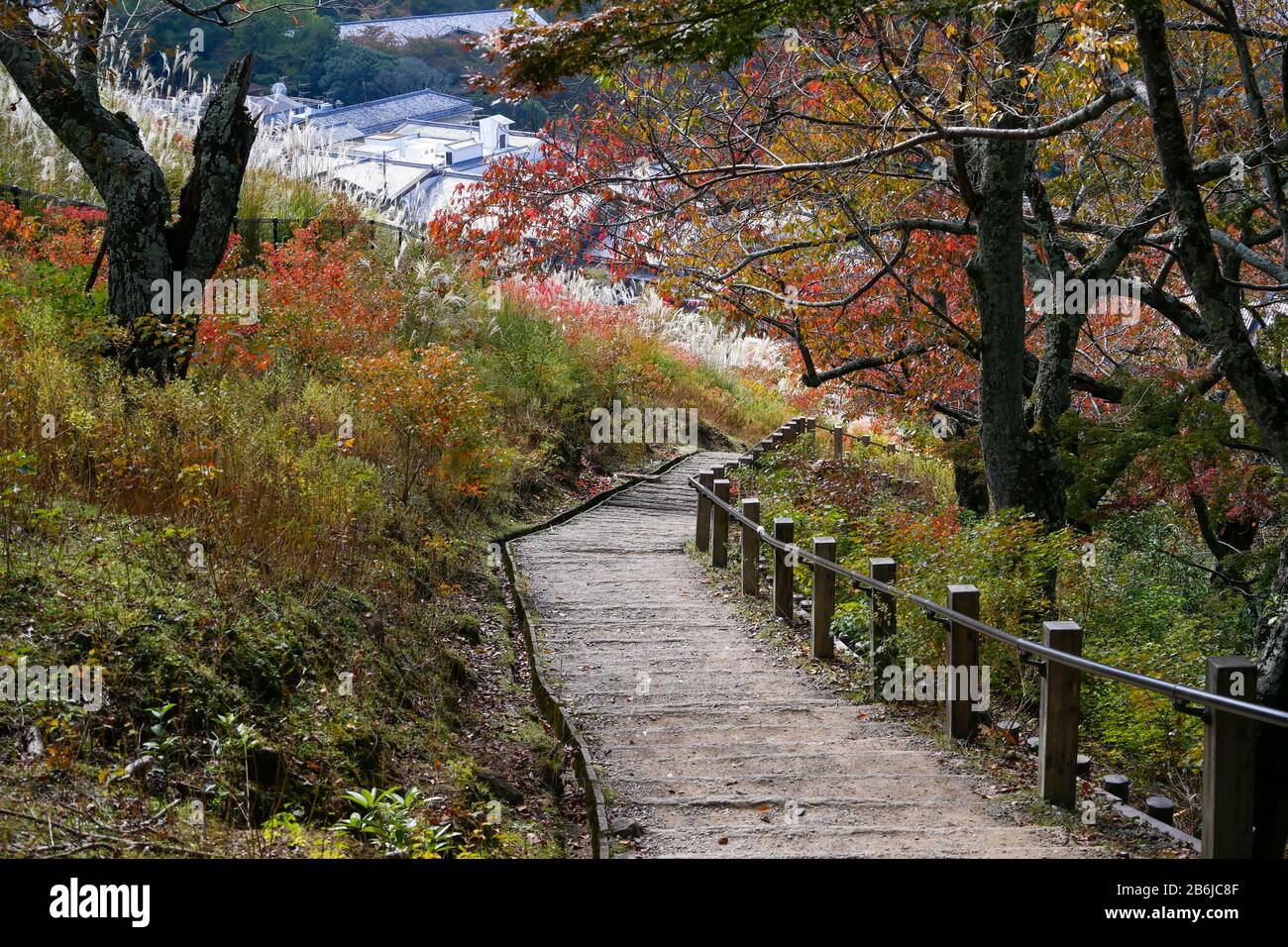 Beautiful Nara mountain at Nara city, Japan. Nara park is a famous ...