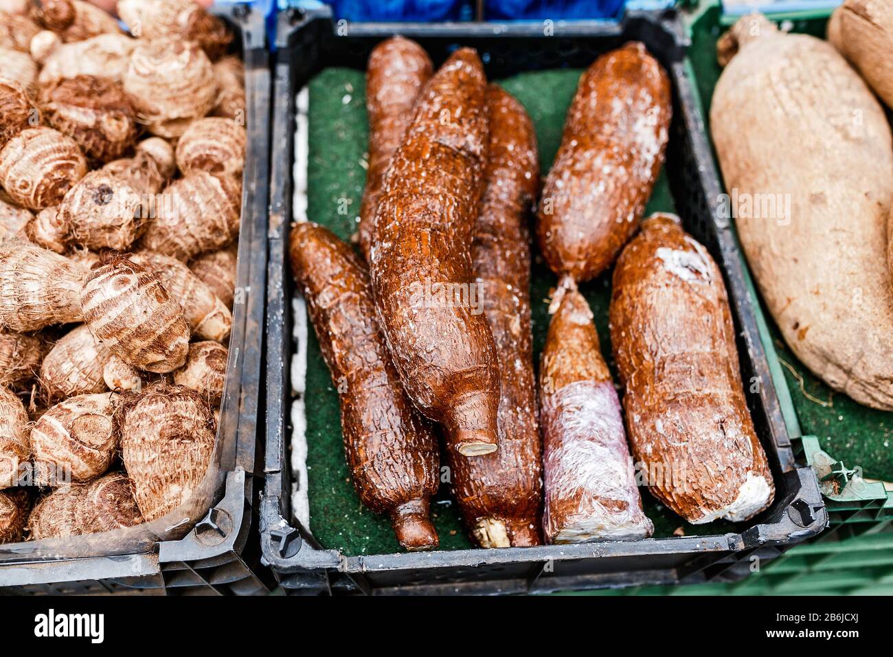 Many different medicinal and food roots on the market counter Stock ...