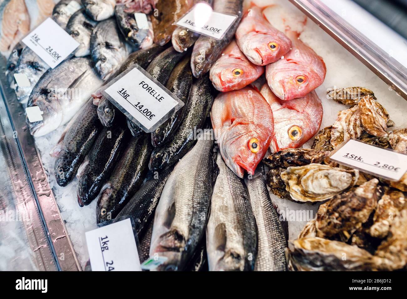Various fresh fish and oysters on the sea food store counter Stock ...