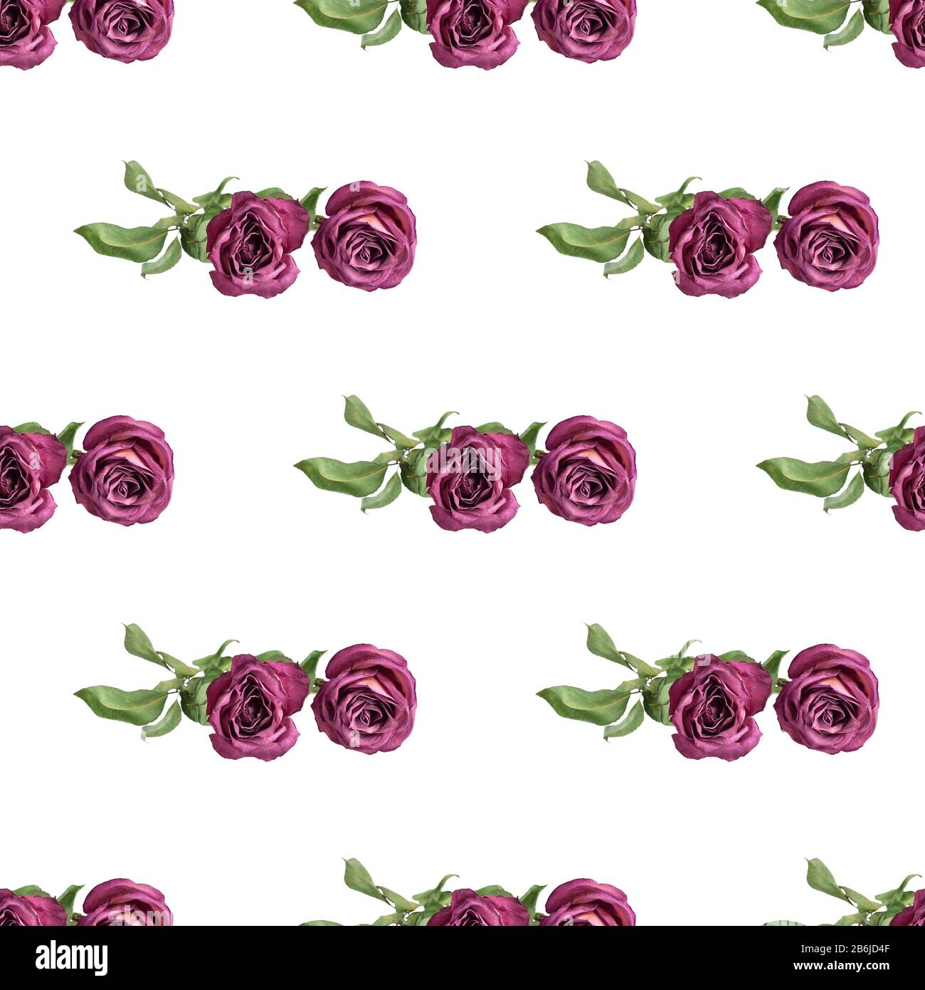 Roses flower leaves decorative seamless hi-res stock photography and ...