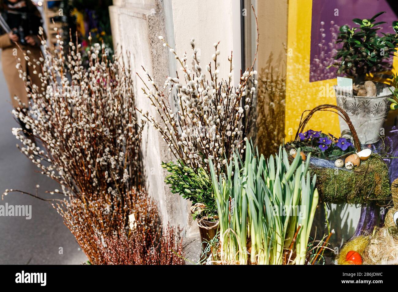 Flowers in pots are on sale at the spring fair Stock Photo - Alamy