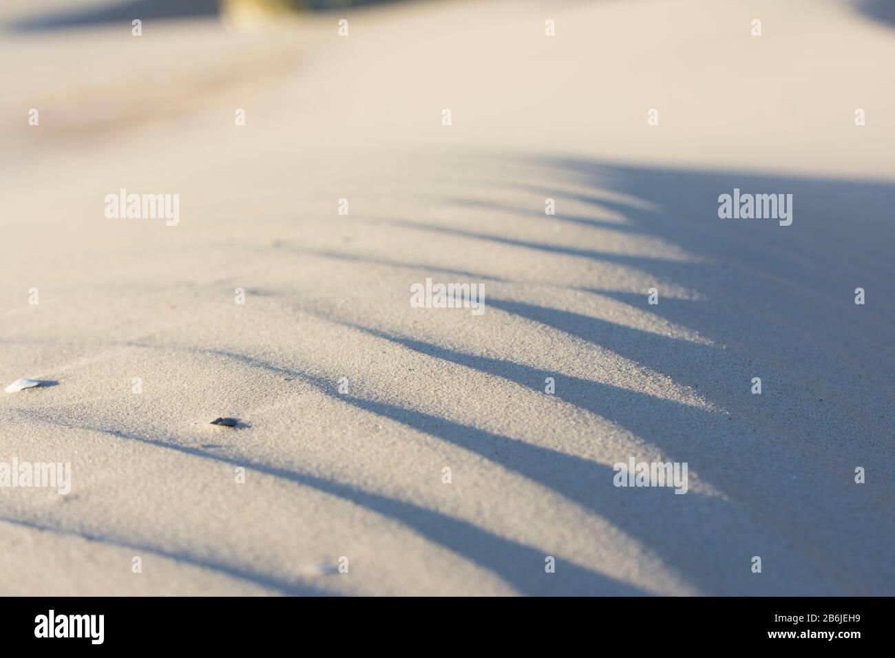 Beach sand dune wave texture Stock Photo - Alamy
