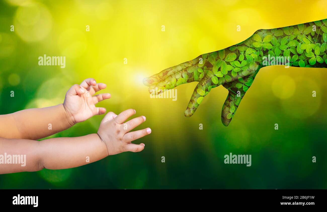 environment Earth Day Hands from nature are helping people. Nature's ...