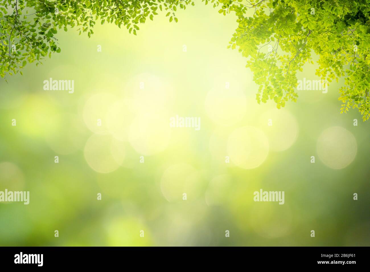 Bokeh frame hi-res stock photography and images - Alamy