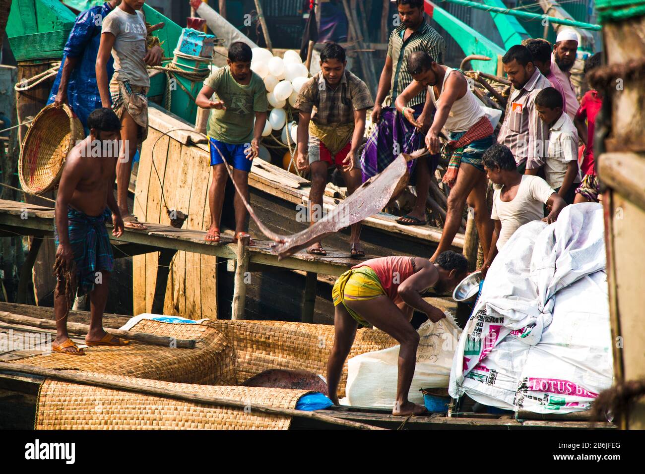 Labors are unloading different types of fish from fishing port. Fish is ...