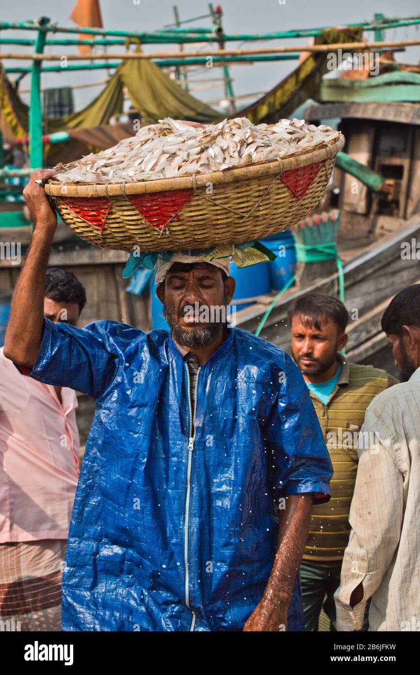 Labors are unloading different types of fish from fishing port. Fish is ...
