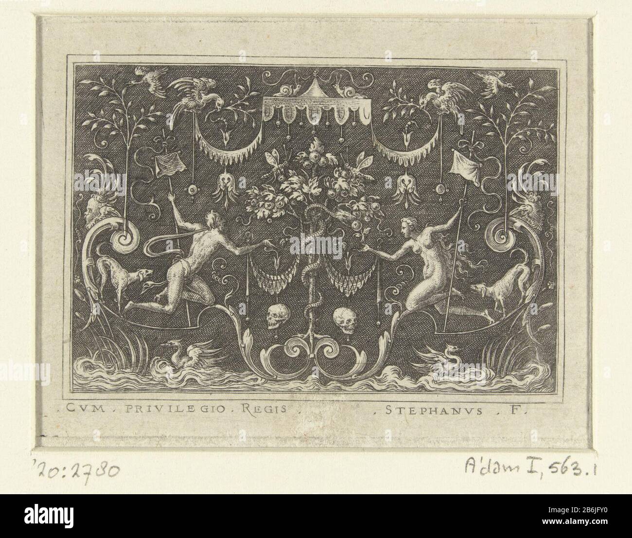 Volute Tree High Resolution Stock Photography and Images - Alamy