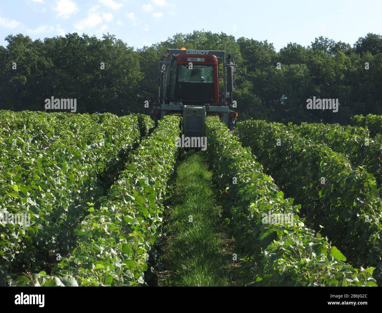 Vineyard spraying hi-res stock photography and images - Alamy
