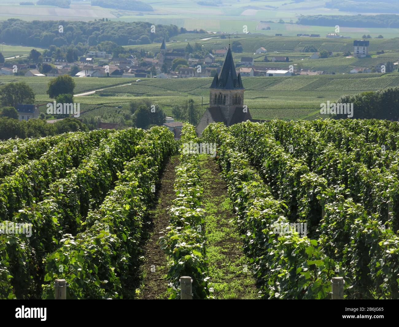 Bordeaux france vineyard margaux hi-res stock photography and images ...