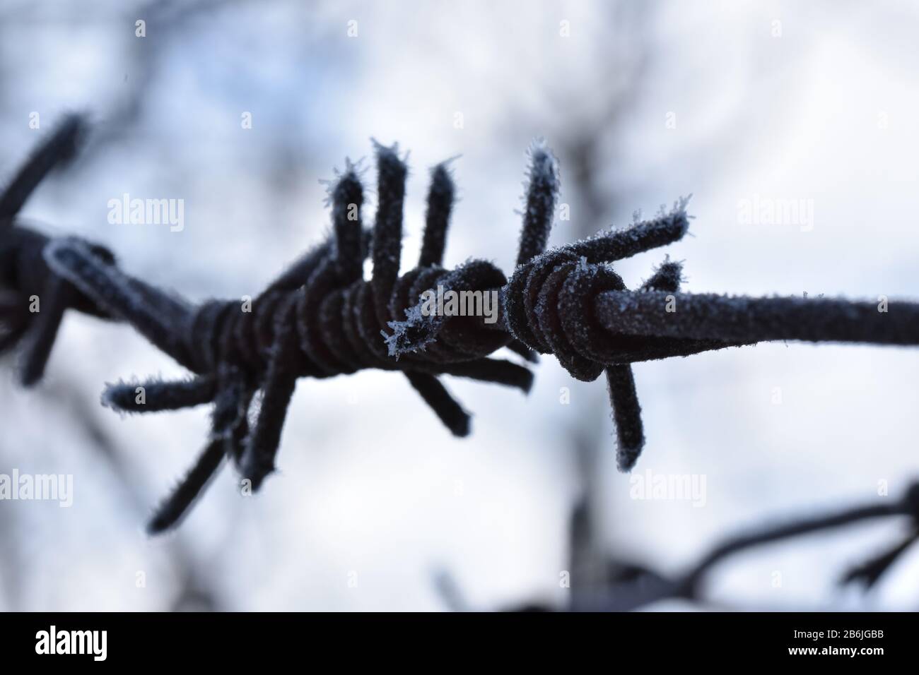Frosted barb wire hi-res stock photography and images - Alamy
