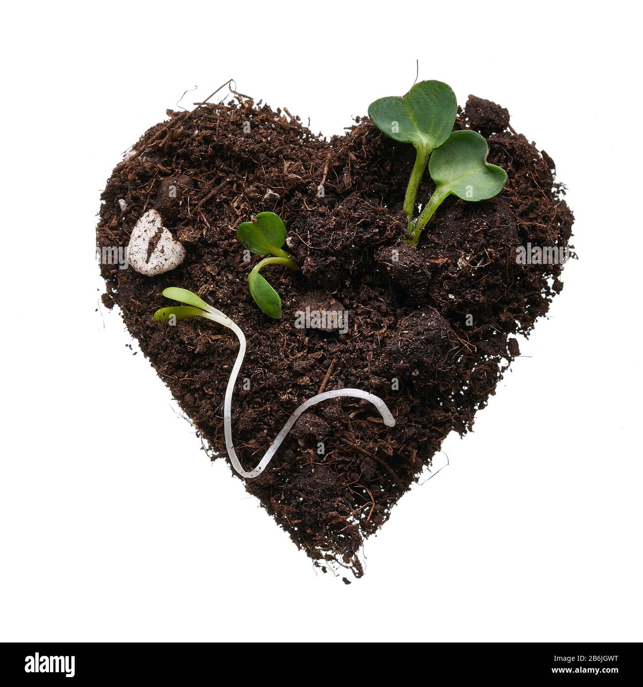 Letter of the English alphabet isolated on white background. The ...