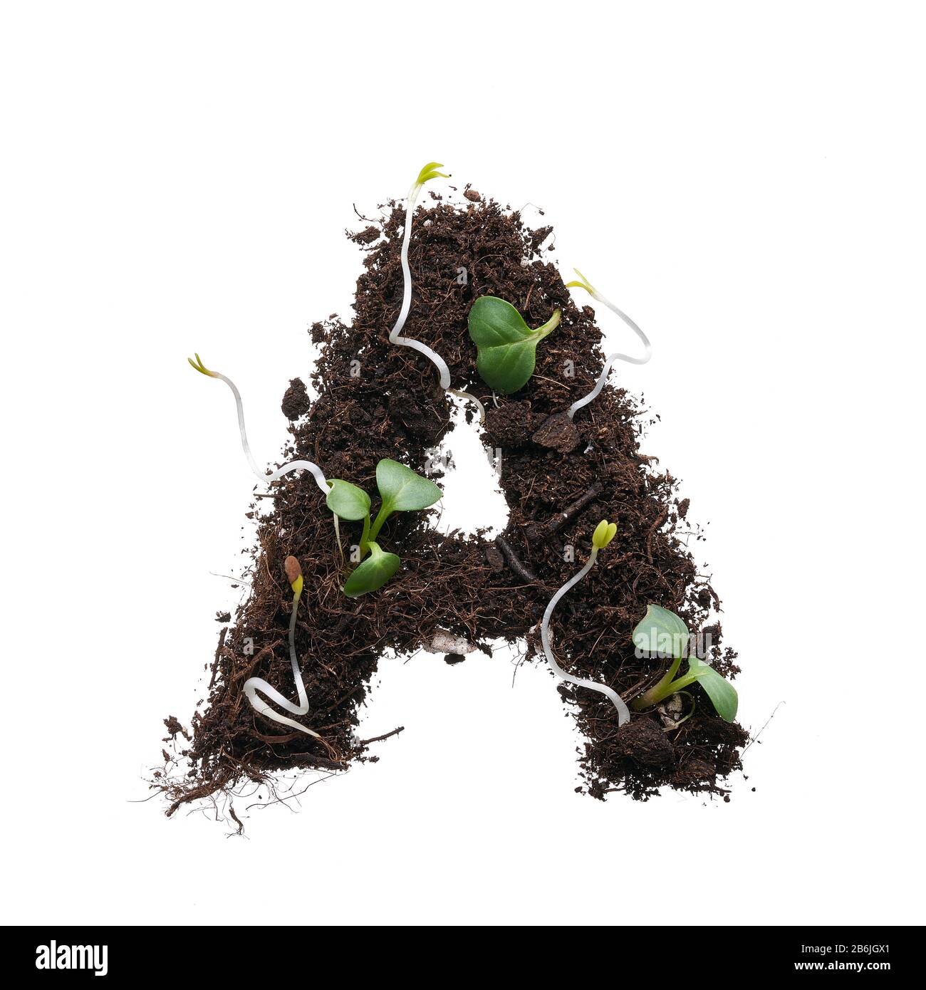 Letter of the English alphabet isolated on white background. The ...