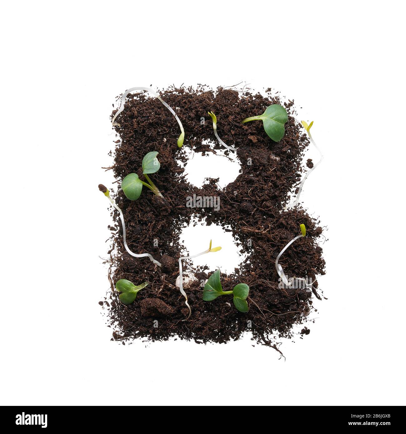 Letter of the English alphabet isolated on white background. The ...