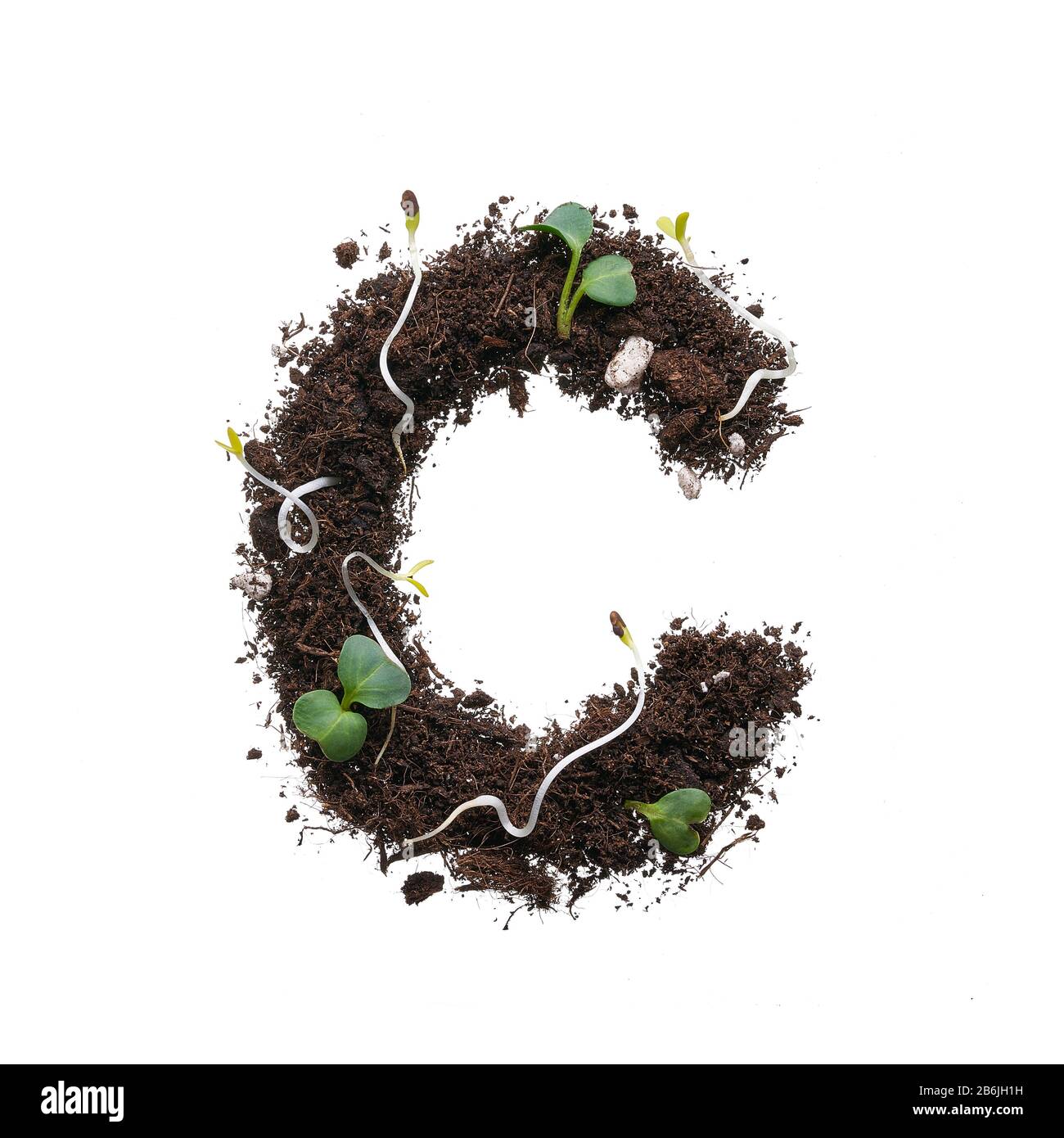 Letter of the English alphabet isolated on white background. The ...