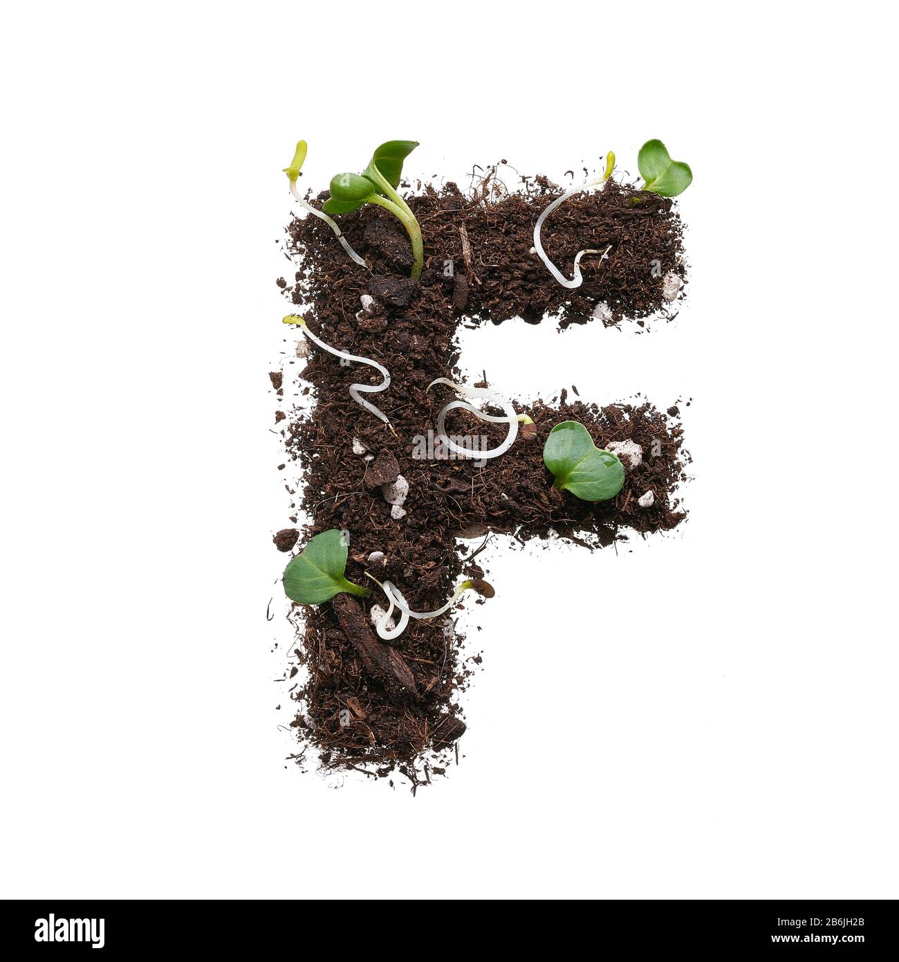 Letter of the English alphabet isolated on white background. The ...