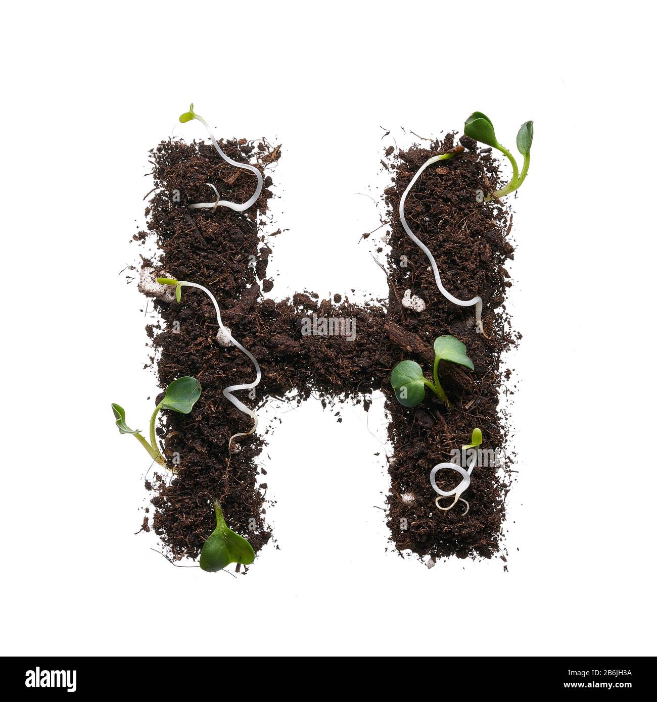 Letter of the English alphabet isolated on white background. The ...