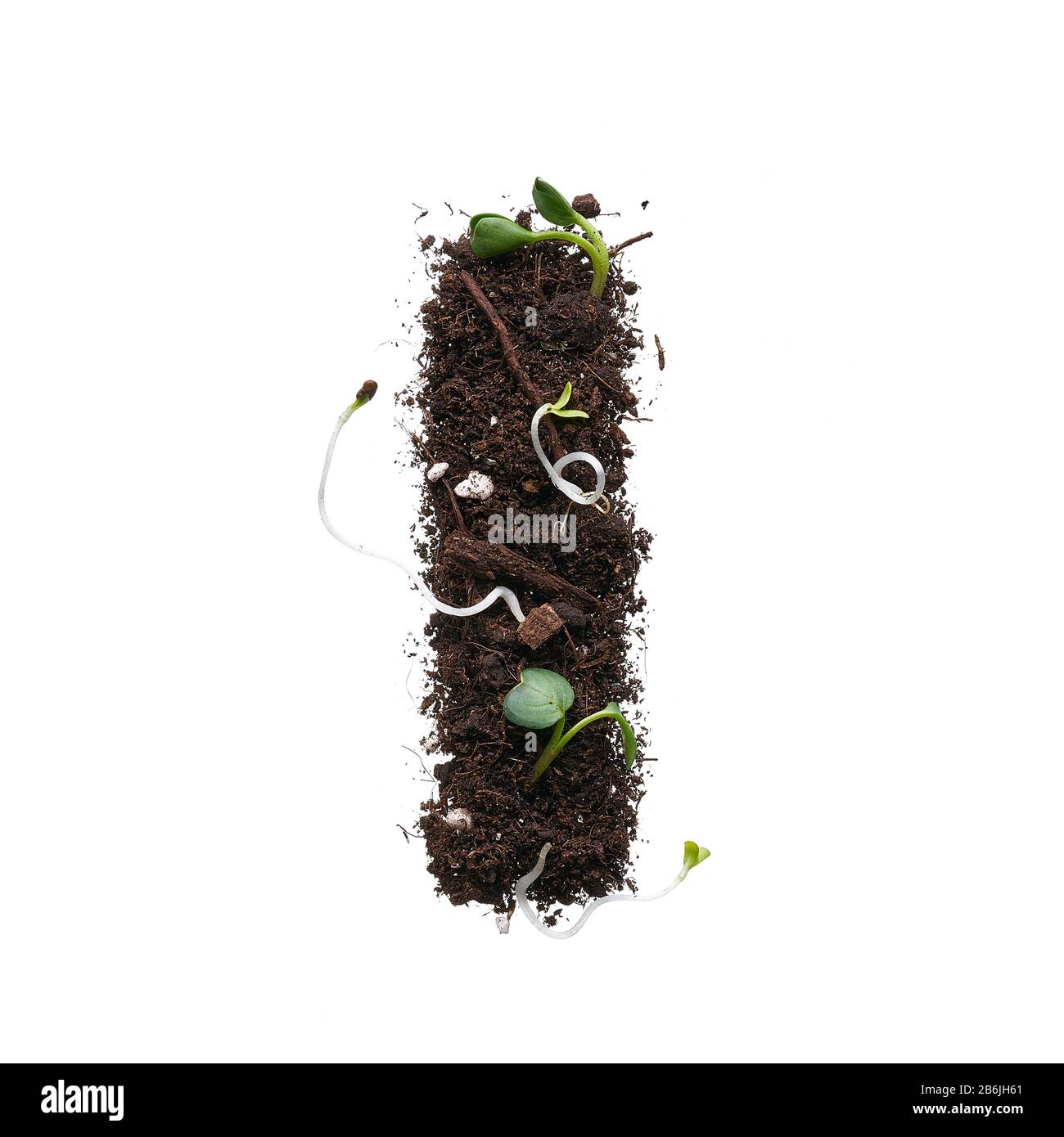 Letter of the English alphabet isolated on white background. The ...