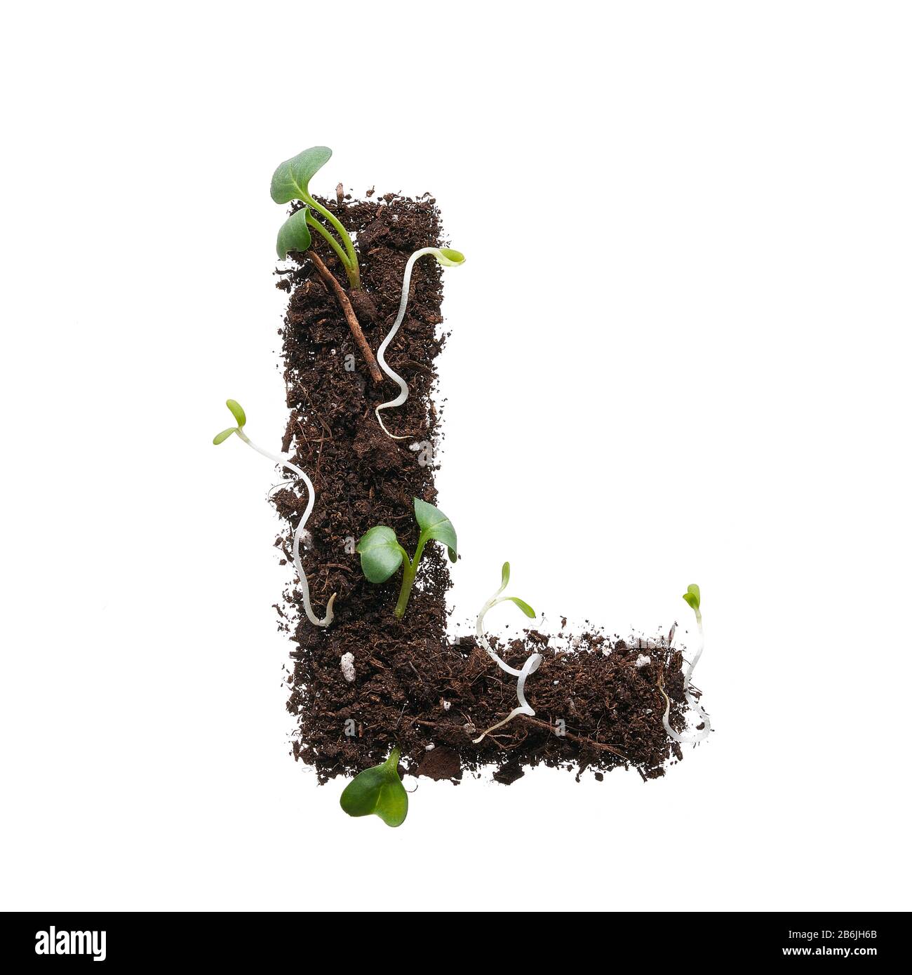 Letter of the English alphabet isolated on white background. The ...