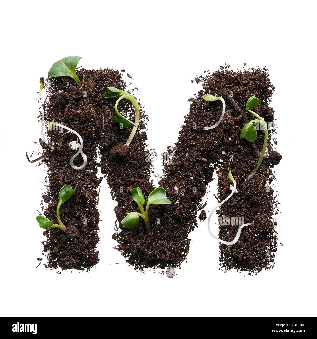 Letter of the English alphabet isolated on white background. The ...