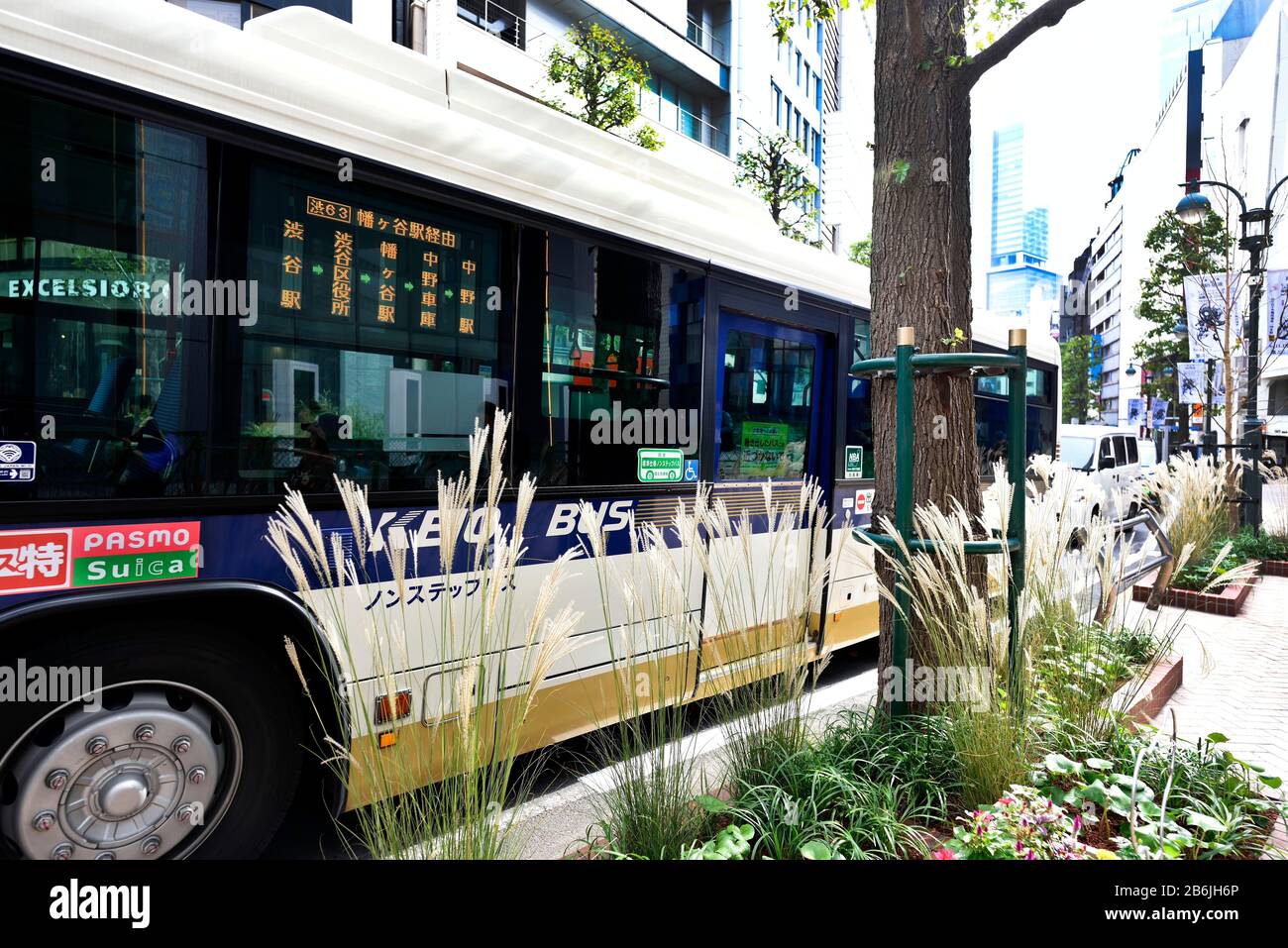 local bus Shibuya Japan Stock Photo - Alamy