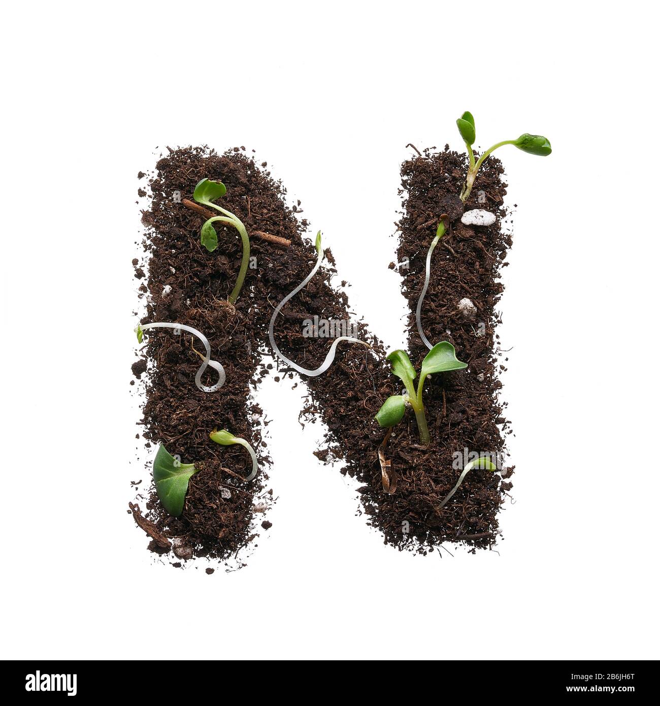 Letter of the English alphabet isolated on white background. The ...