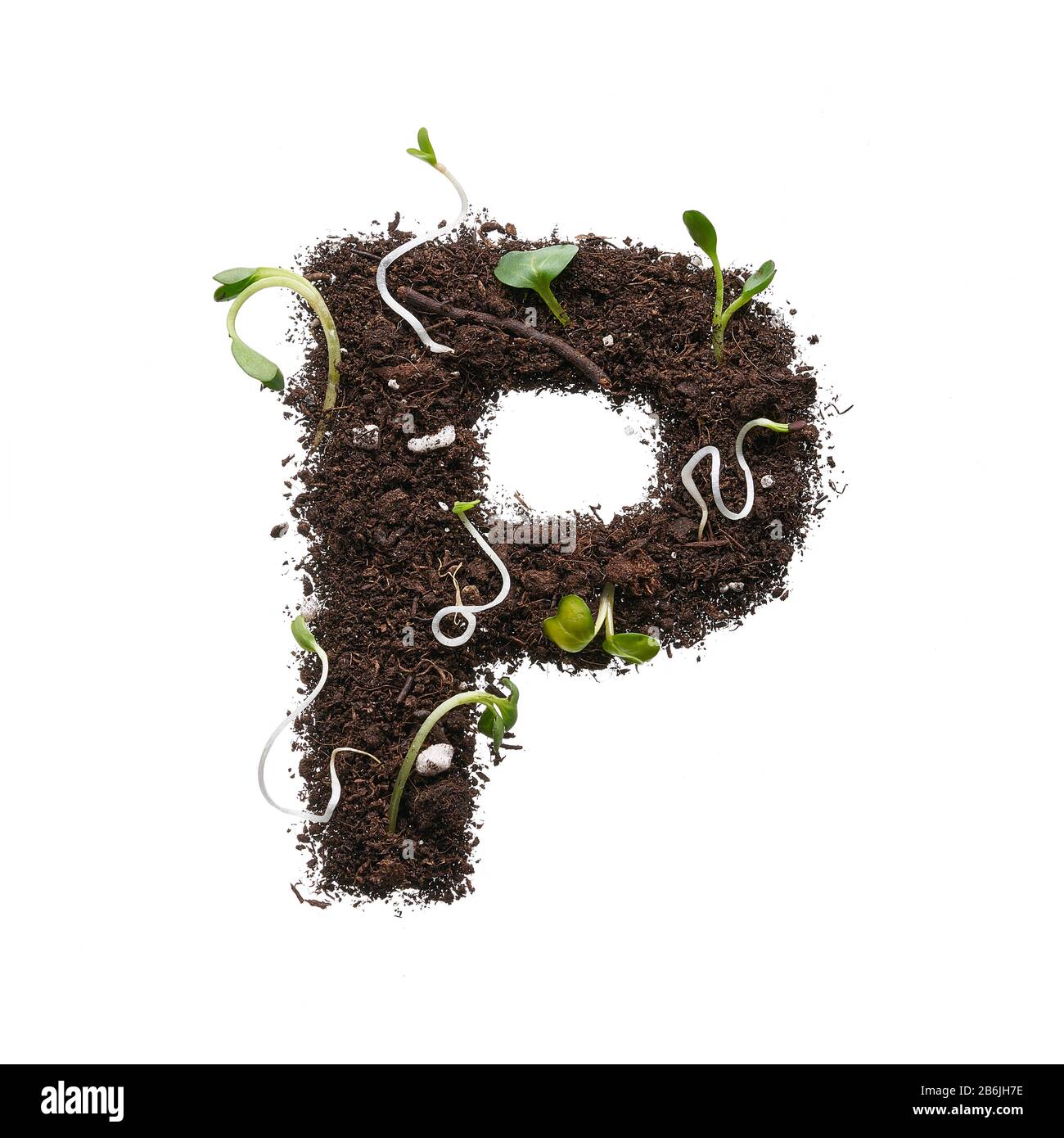 Letter of the English alphabet isolated on white background. The ...