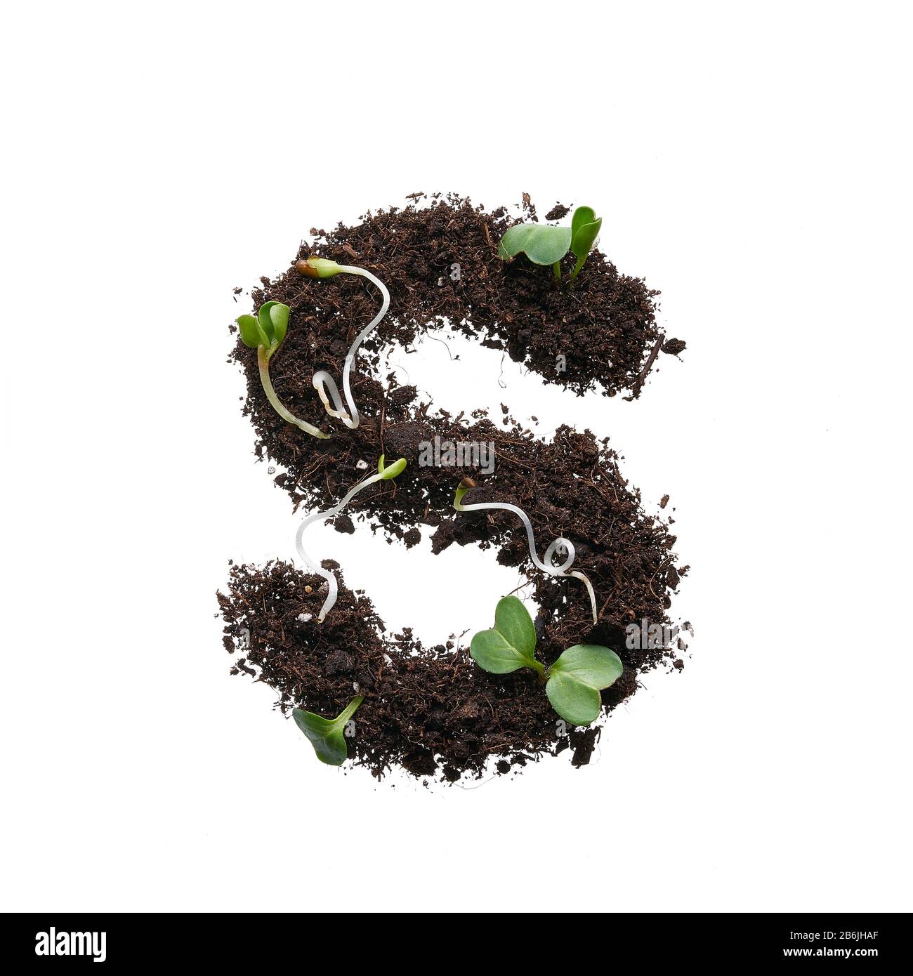 Letter of the English alphabet isolated on white background. The ...