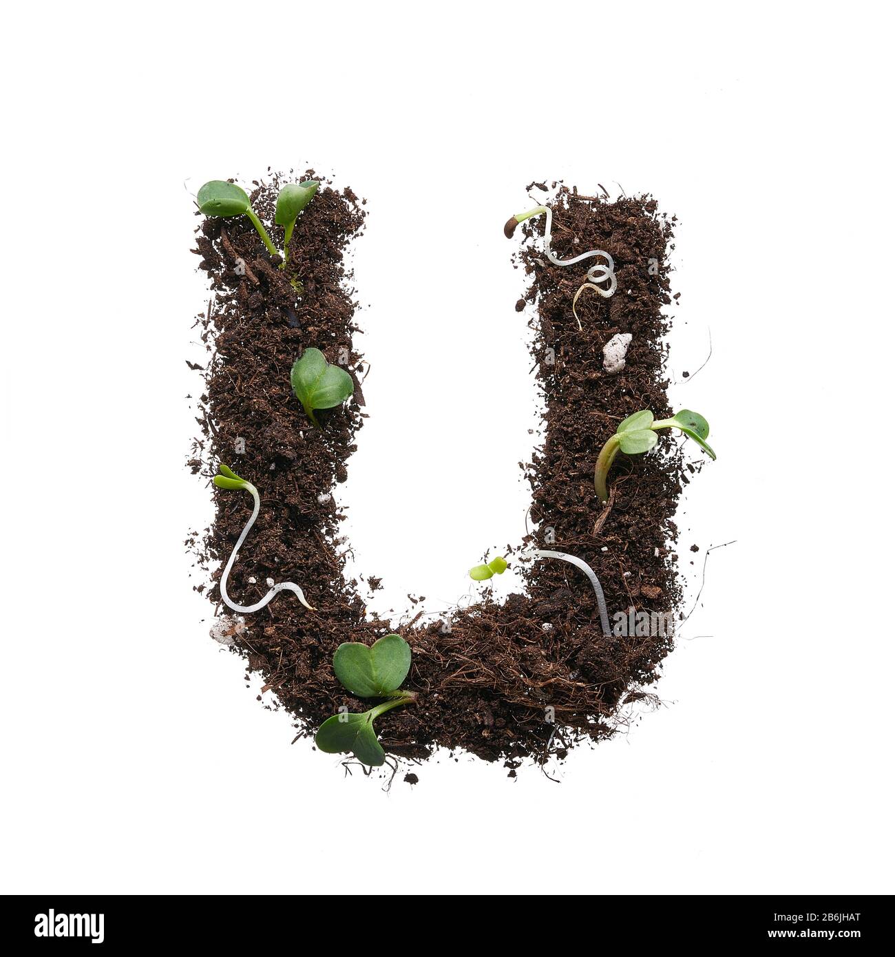 Letter of the English alphabet isolated on white background. The ...