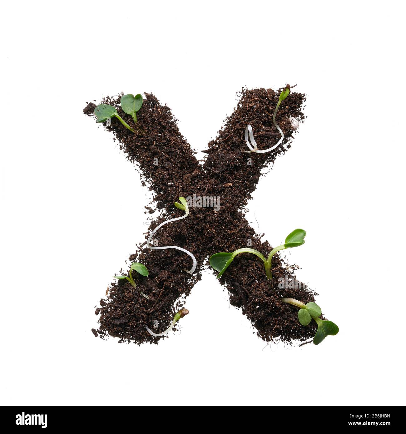 Letter of the English alphabet isolated on white background. The ...