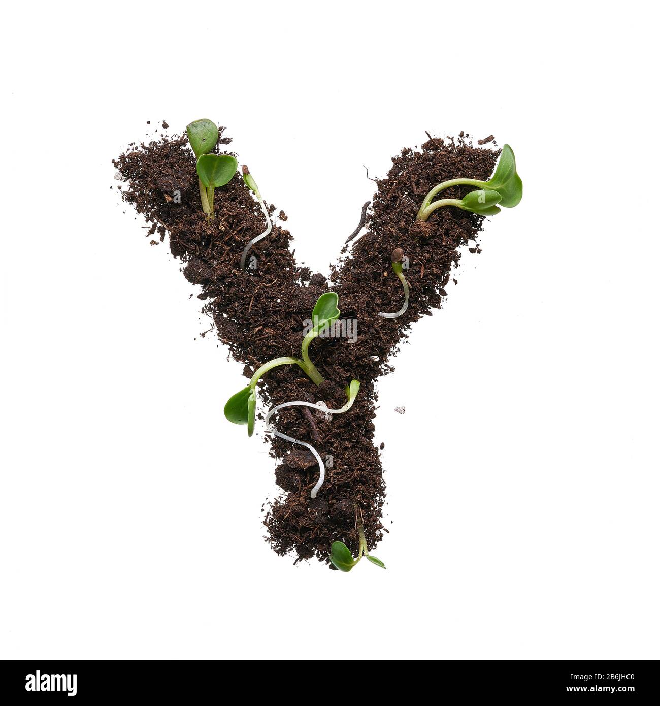 Letter of the English alphabet isolated on white background. The ...