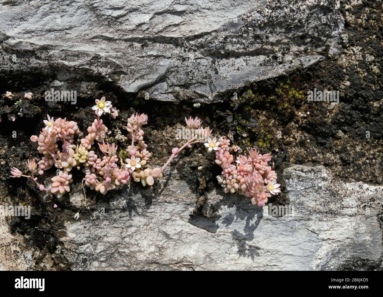 Gaps between rocks hi-res stock photography and images - Alamy