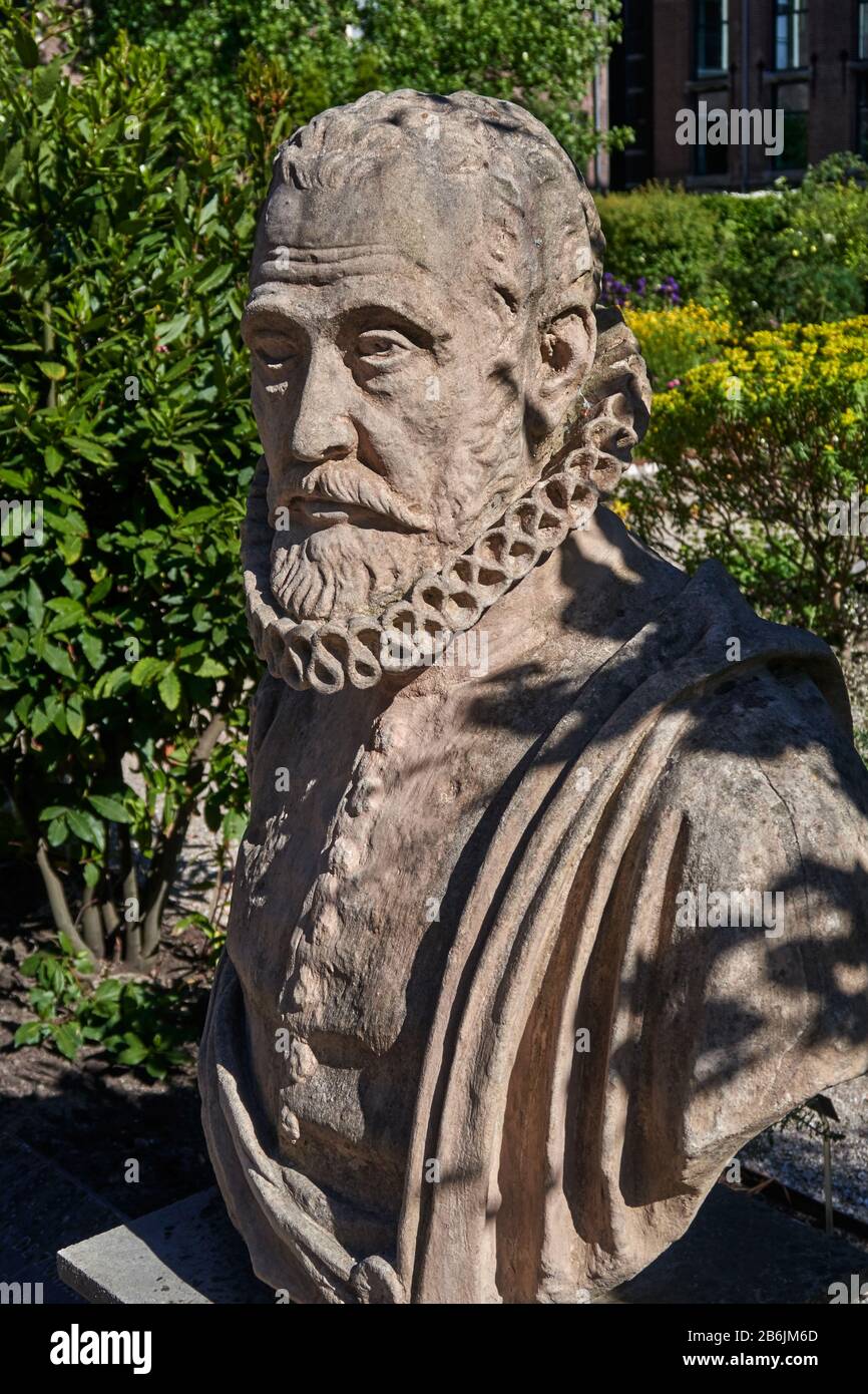 Carolus clusius tulip hi-res stock photography and images - Alamy