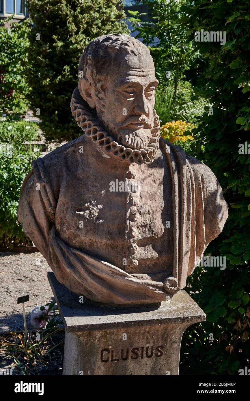 city of Leiden, provincof South Holland, Netherlands, Europe- Busof ...