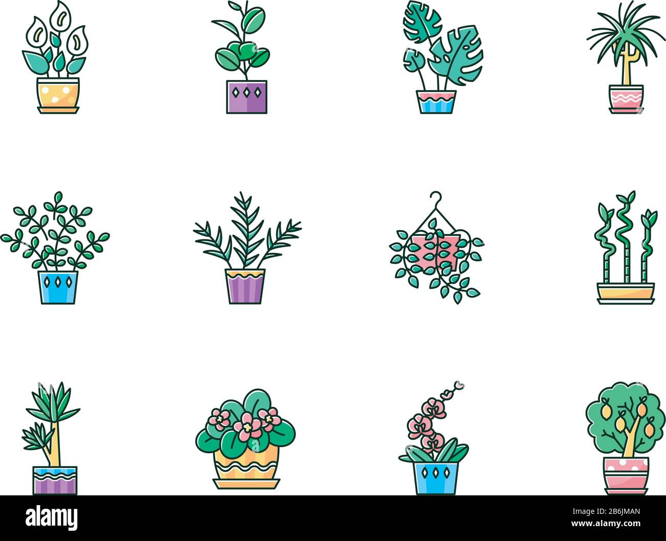 Houseplants RGB color icons set. Decorative indoor plants. Natural home ...