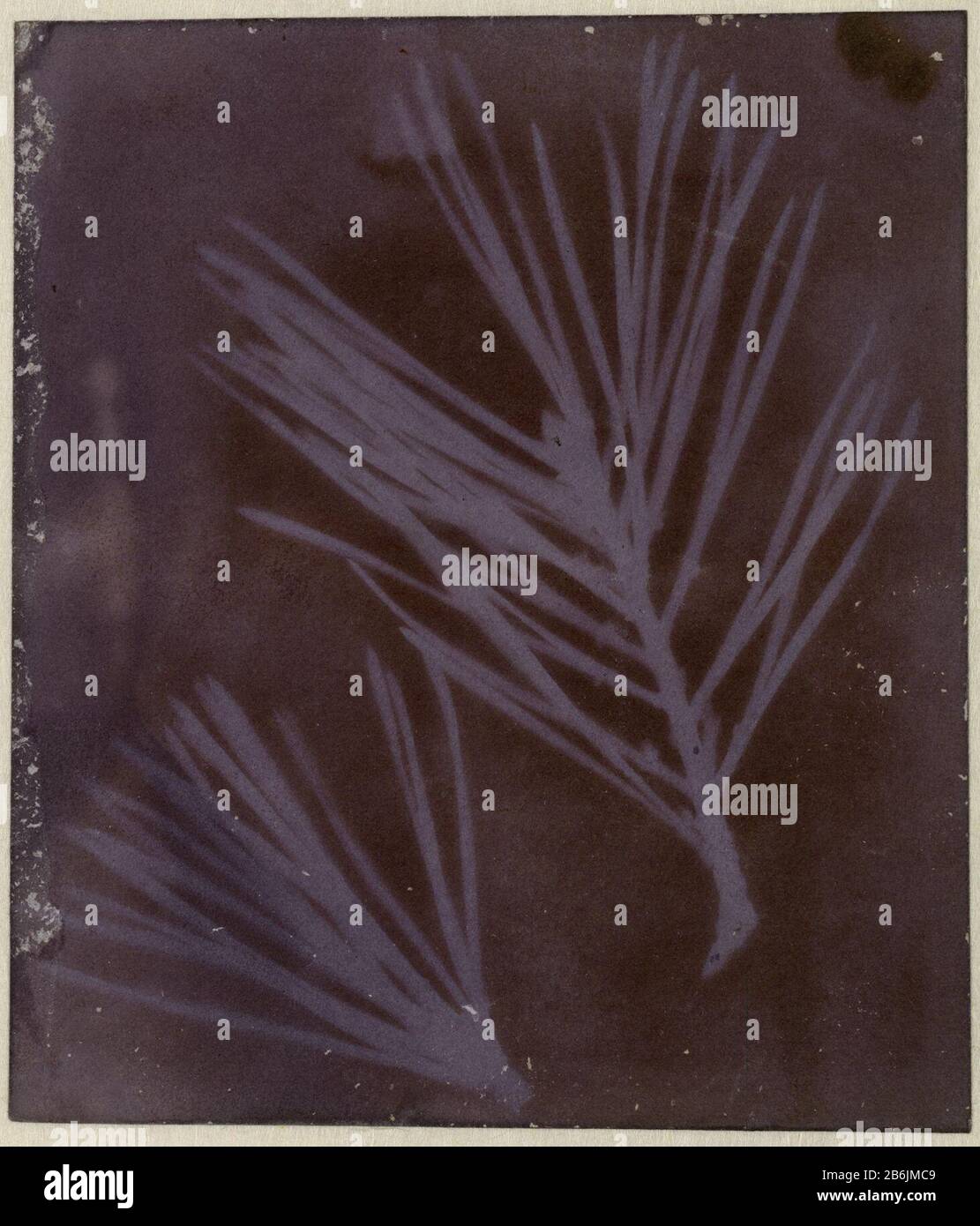 Number photogram hi-res stock photography and images - Alamy