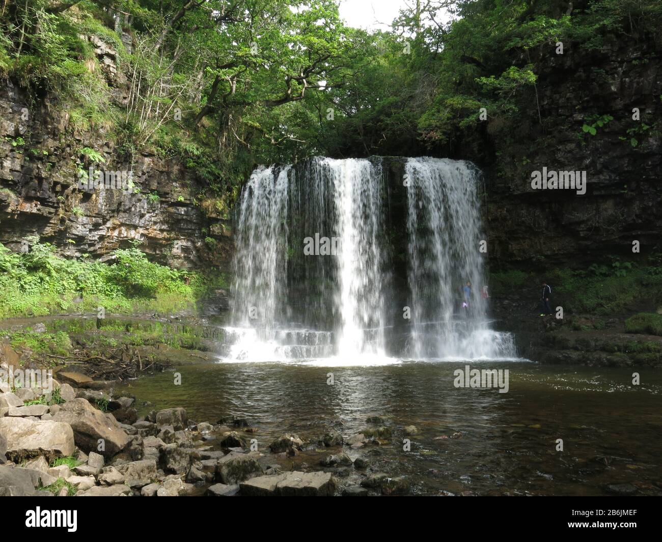 Brecon forest hi-res stock photography and images - Alamy