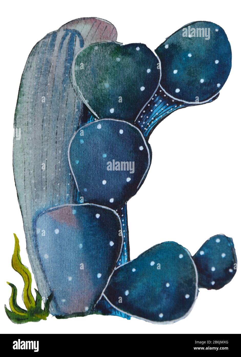 Letter C in the form of a cactus. Design element is perfect for logos ...