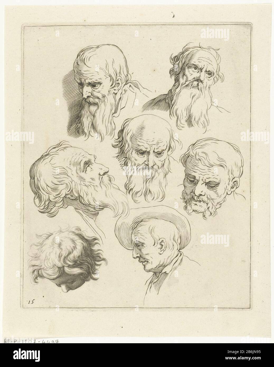 Proportions of human head hi-res stock photography and images - Alamy