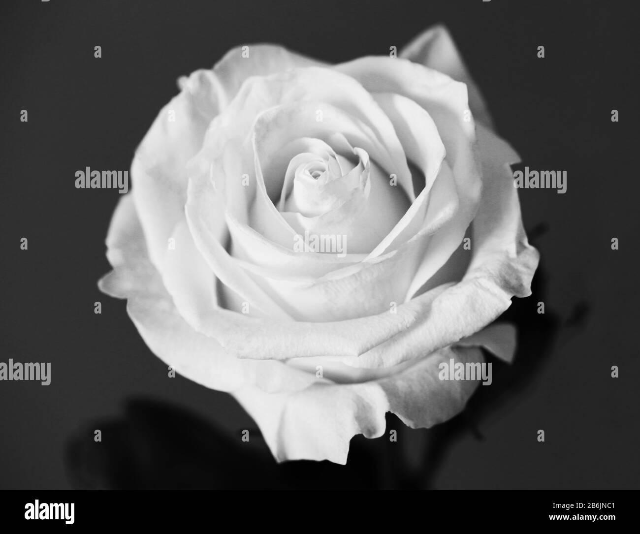 Beautiful spring day one Black and White Stock Photos & Images - Alamy