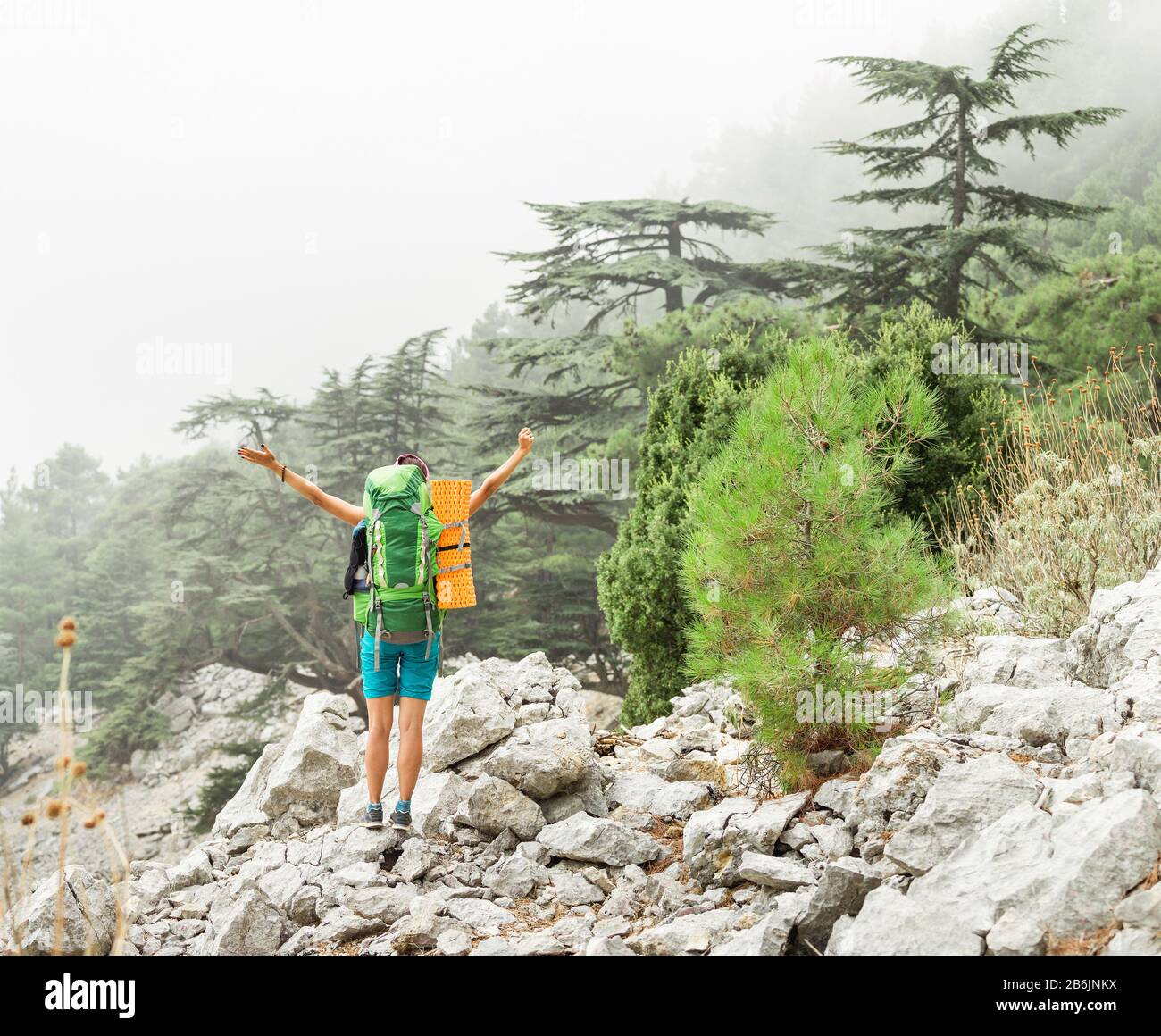 Happy young woman backpacker enjoy the fog view in wild forest with ...