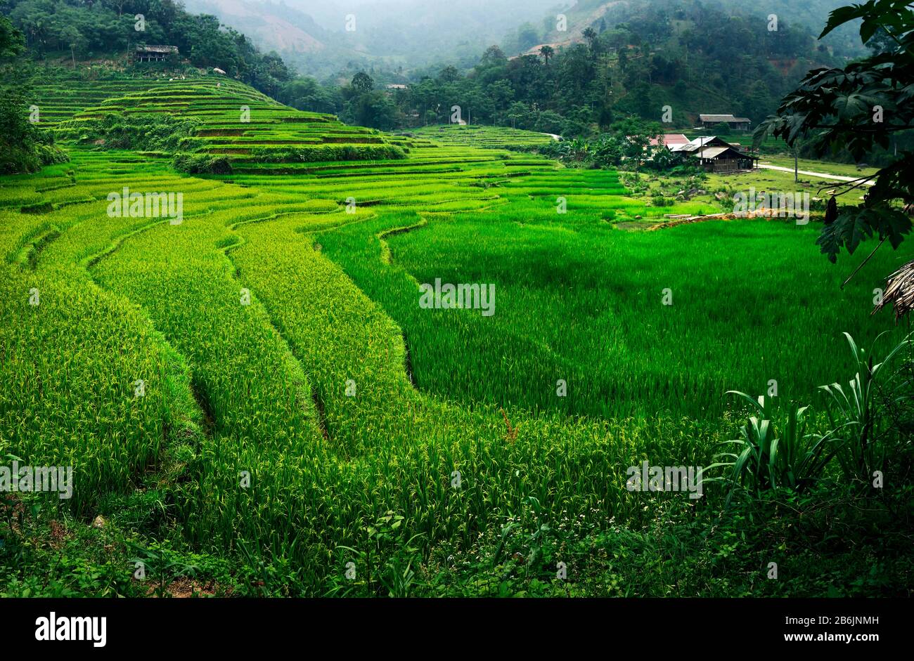 North korea grain hi-res stock photography and images - Alamy