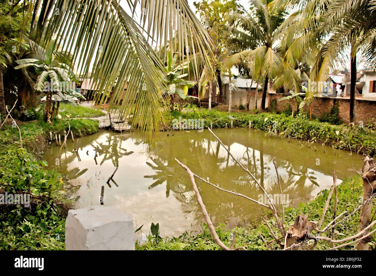 Habitat plays an important role in pond ecosystem. These habitats are ...