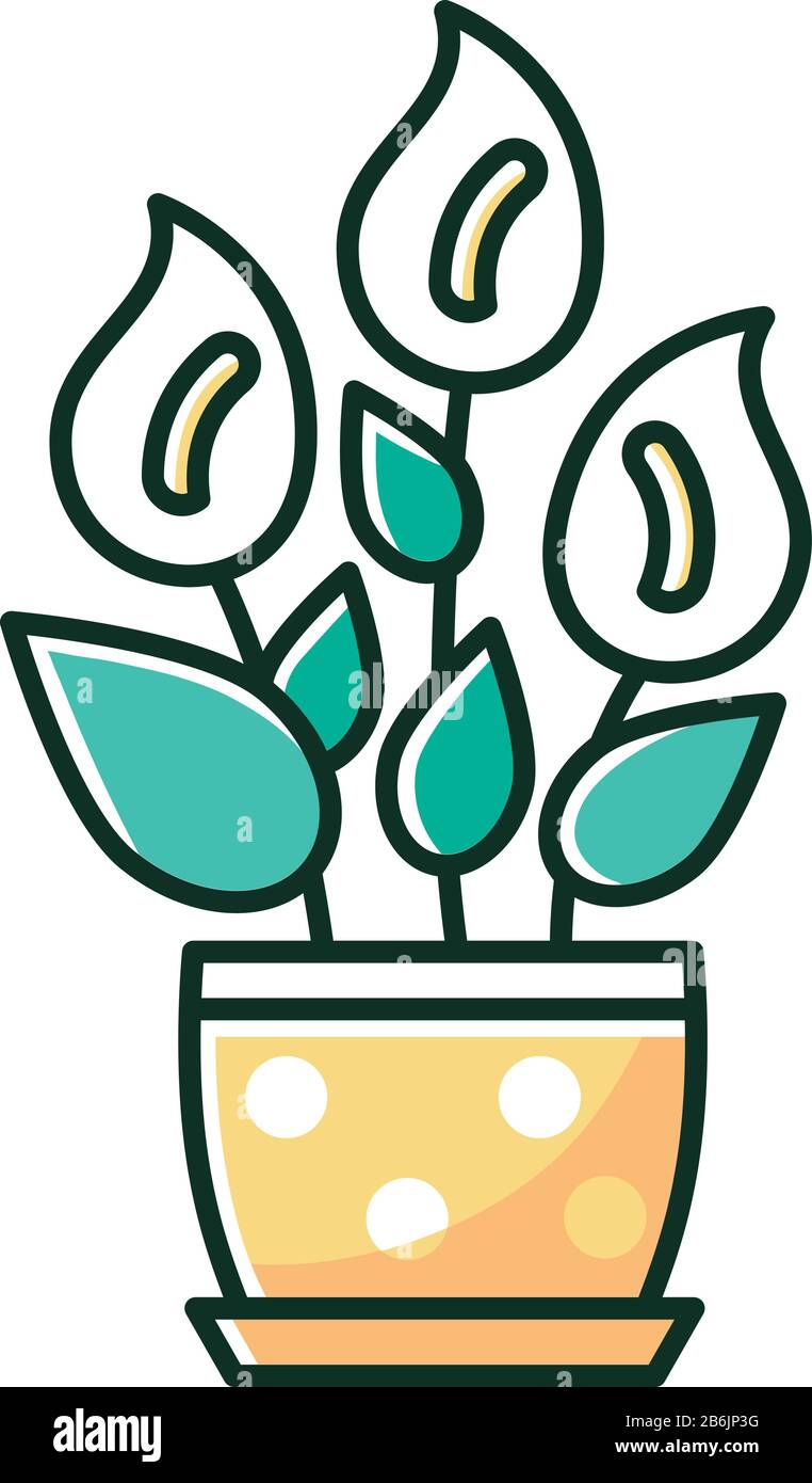 Peace lily flowering Stock Vector Images - Alamy