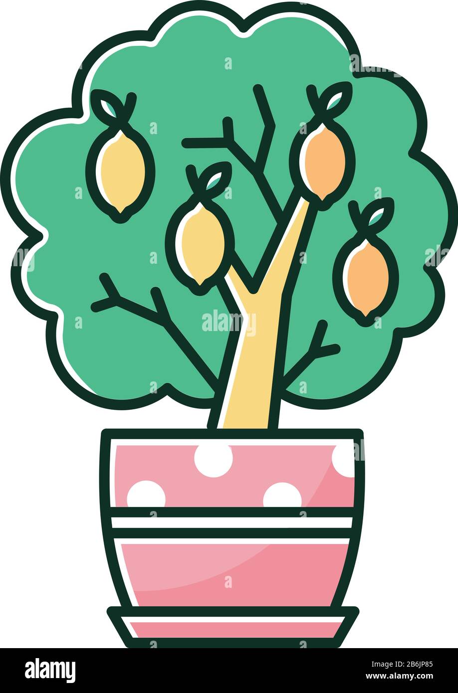 Miniature lemon tree RGB color icon. Potted evergreen citrus. Indoor ...
