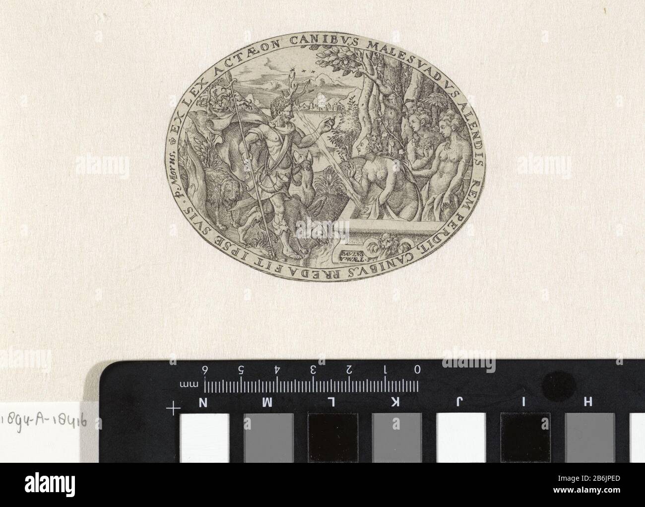 De jonge prins Actaeon op jacht in het bos Stock Photo - Alamy