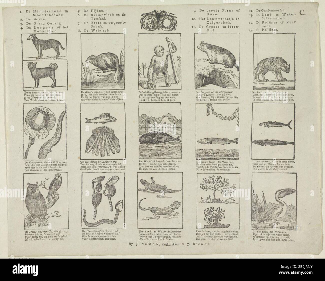 Animals and plants Leaf with 15 representations of animals and plants ...